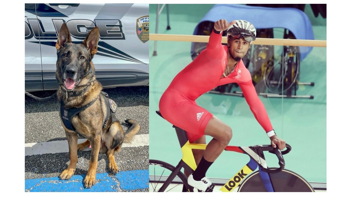 POLICE DOG CATCHES WORLD CLASS CYCLIST IN WILD CHASE AND ARREST – GRAN ...